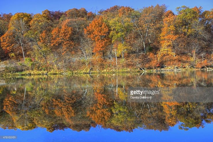 Fleming Park, missouri, United States Of America - Top Attractions ...
