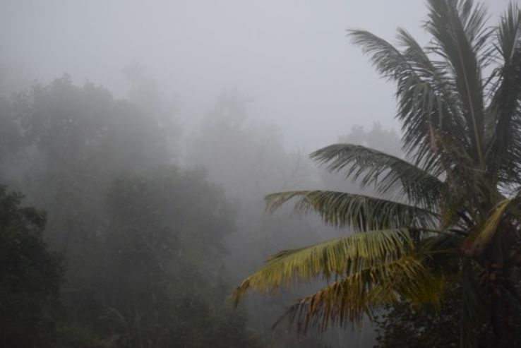 Konaseema 2021, #9 places to visit in andhra pradesh, top things to do ...