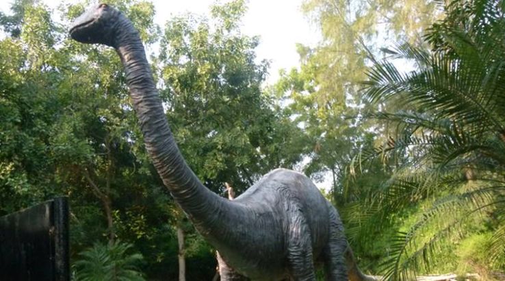 Indroda Dinosaur and Fossil Park 2021, #7 top things to do in ahmedabad ...