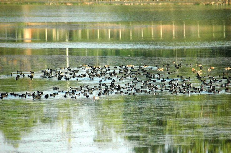 Sirpur Lake 2021, #6 top things to do in indore, madhya pradesh ...