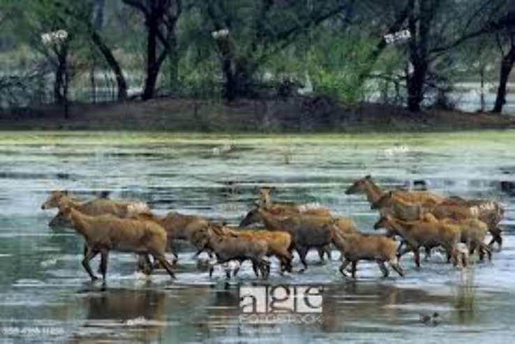 Sultanpur 2021, #32 places to visit in uttar pradesh, top things to do ...