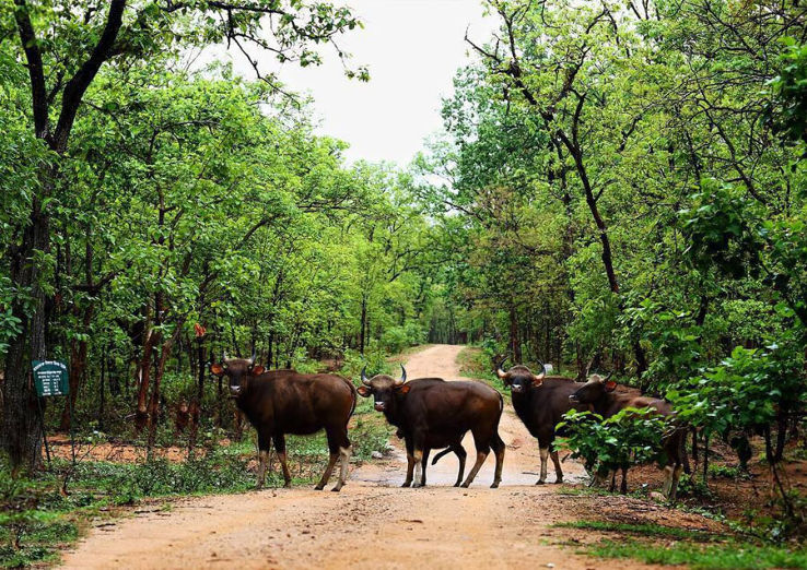 Mahasamund 2021, #8 places to visit in chhattisgarh, top things to do ...